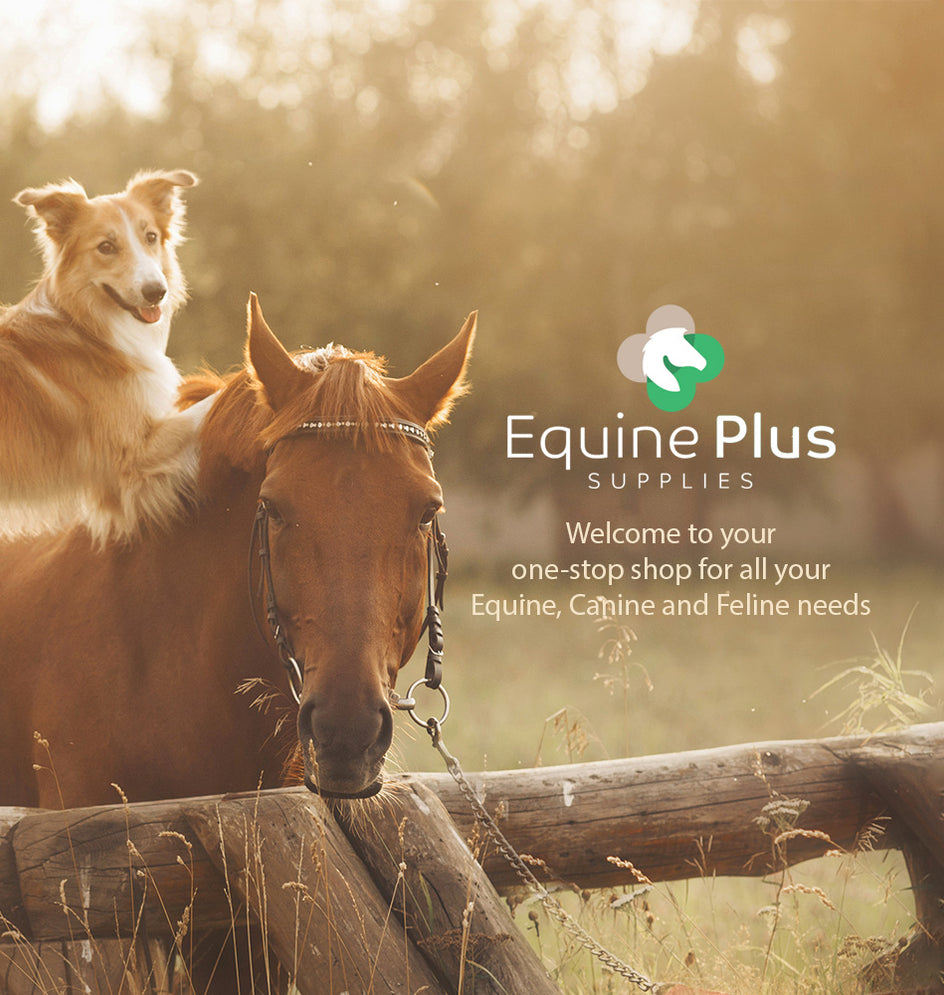 Equine Plus Supplies — EquinePlus Supplies