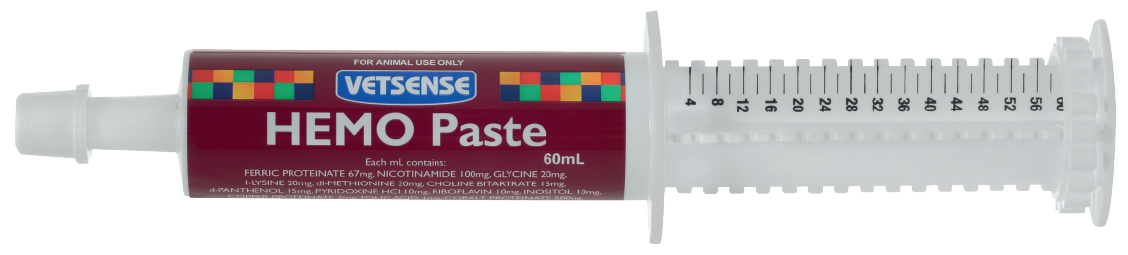 VETSENSE HEMO PASTE 60ML — EquinePlus Supplies